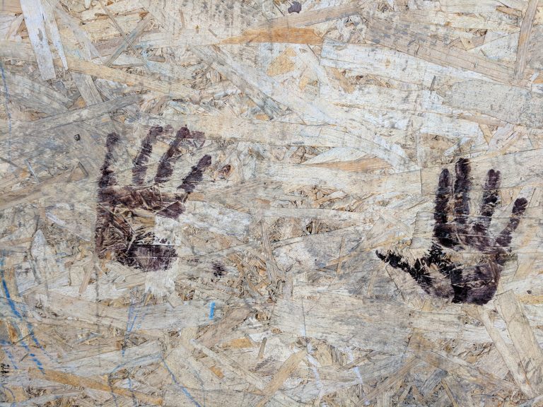 Pata Rât: Turnesolul Clujului - Átlátszó Erdély