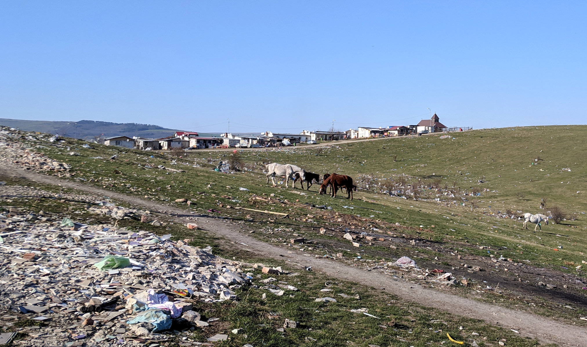 Pata Rât: Turnesolul Clujului - Átlátszó Erdély